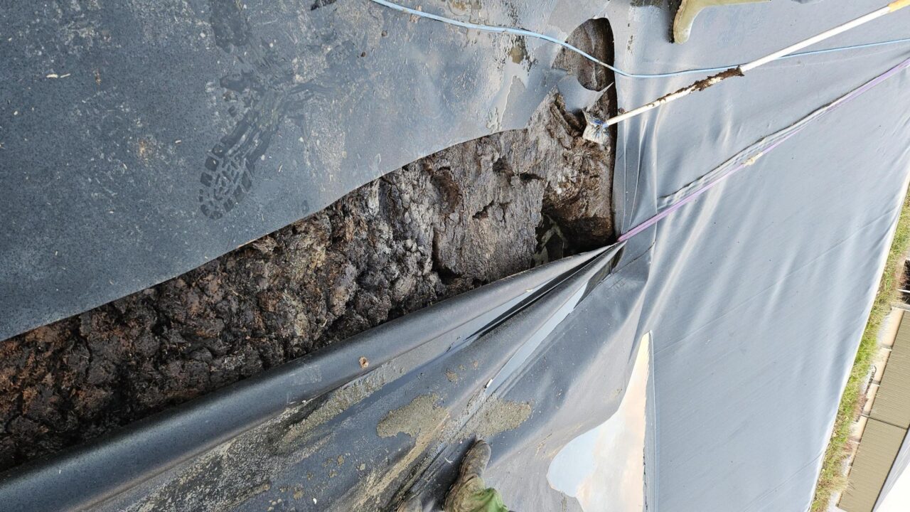 Revolutionizing Agricultural Waste Management: SlurryBugs 2024